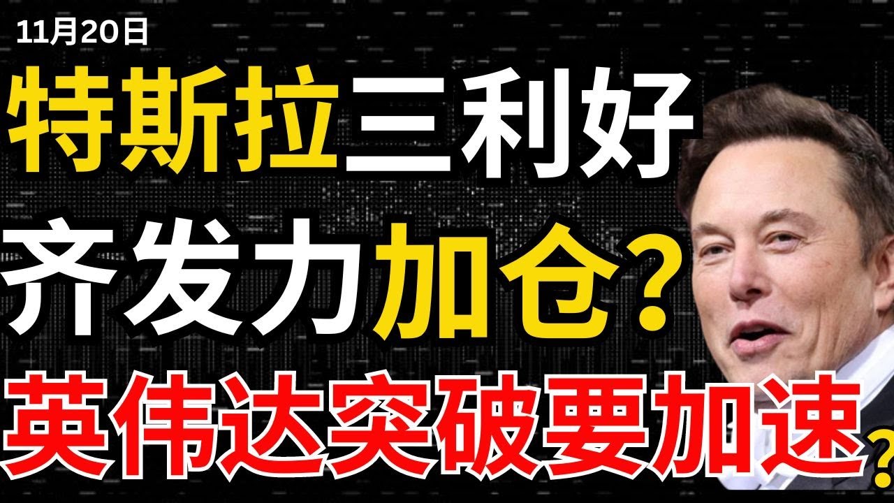 【特斯拉重磅三利好】中国市场又涨价?cybertruck下周交付,做空特斯拉大空头破产,最坏阶段已过?英伟达q3财报前突破502前高点 追?特