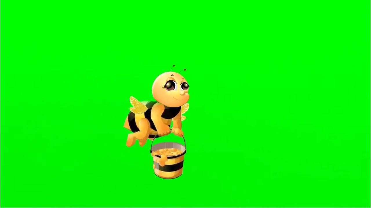 flying honeybee green screen/ no copyright video - YouTube