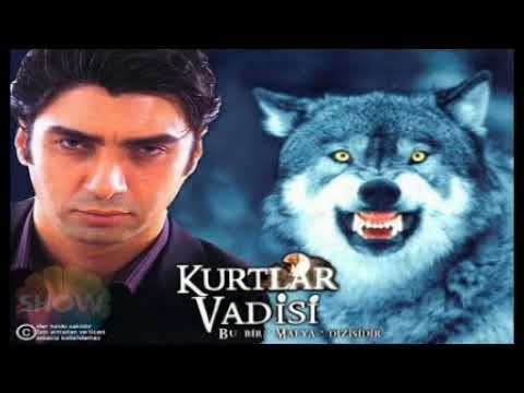 Kurtlar Vadisi Pusu Darbuka Karışık (Orjinal)