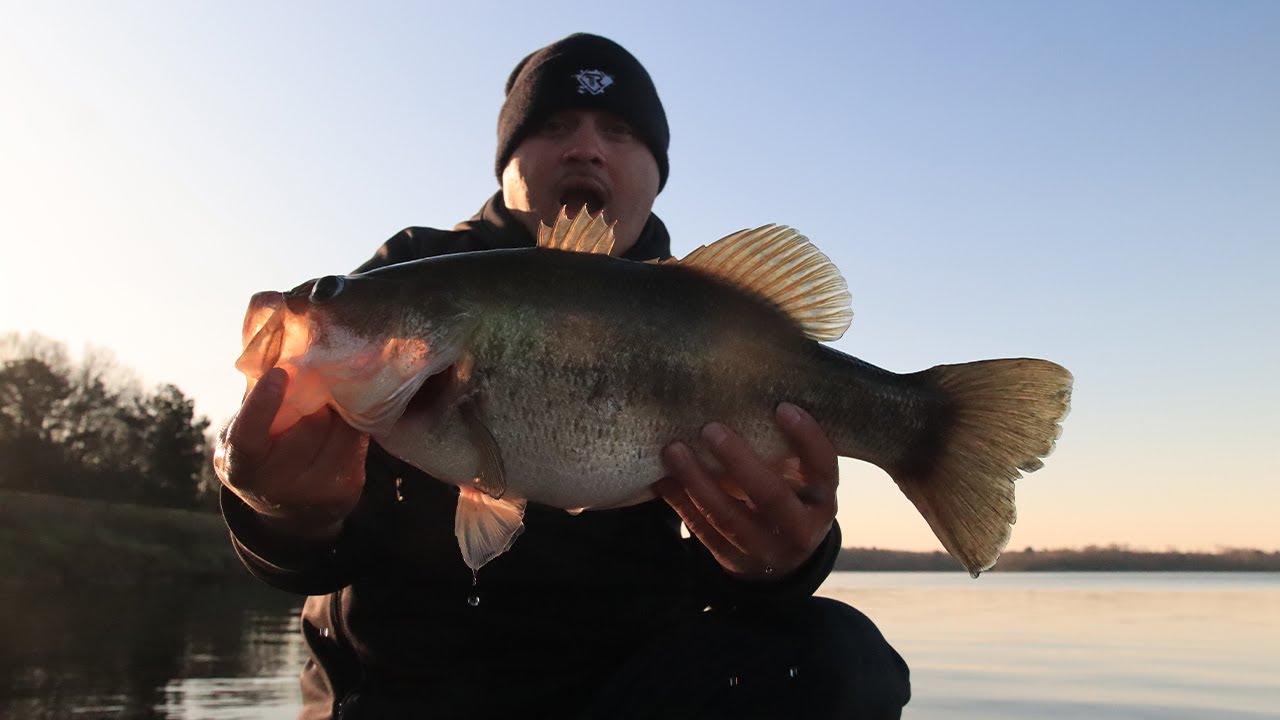 Catching Giant Pre Spawn Fish At My Favorite Lake - YouTube