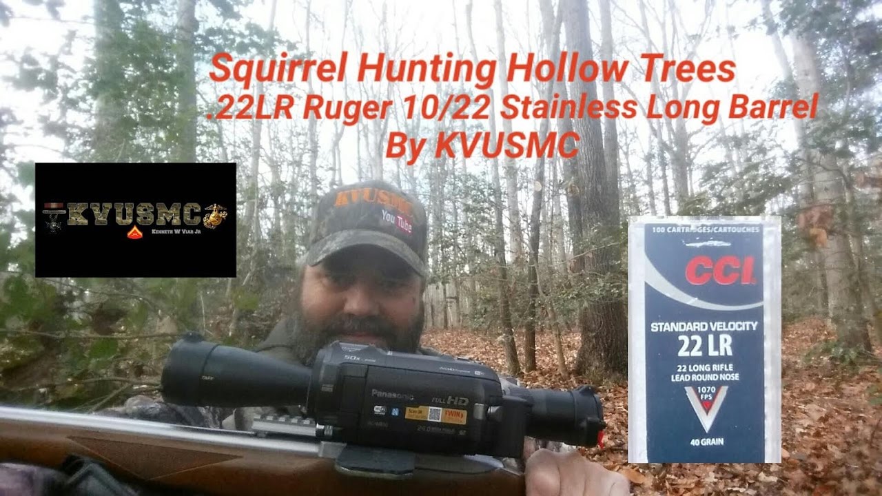Squirrel Hunting Hollow Trees .22LR Ruger 10/ 22 Stainless Long Barrel ...