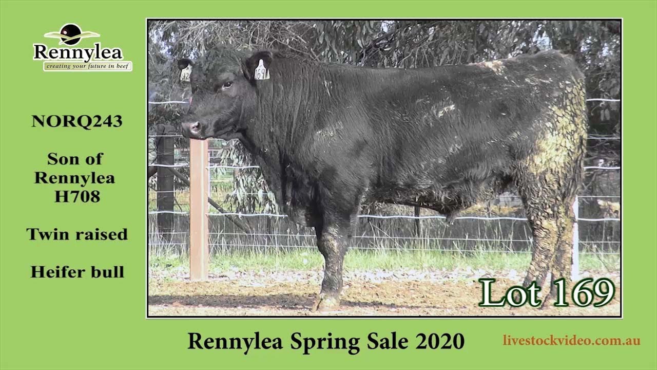 Lot 169 Rennylea Spring 2020 - YouTube