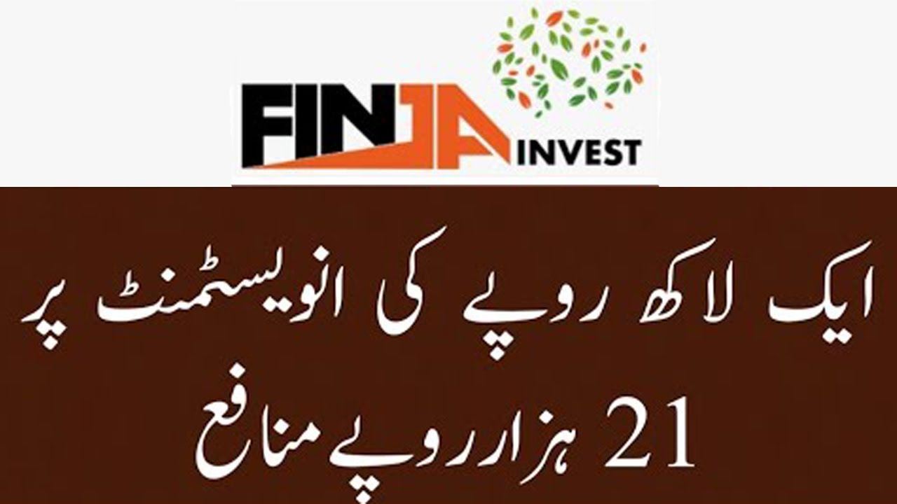 Finja Invest High Profit on Investment in Finja Investment Company ...