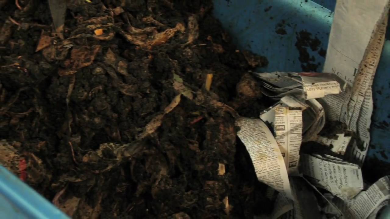 How to make an indoor composting bin - YouTube