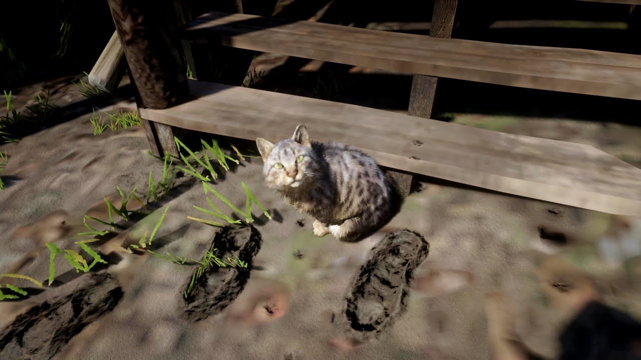 Red Dead Redemption 2 - Detail of Cat behavior and intelligence - Nice ...