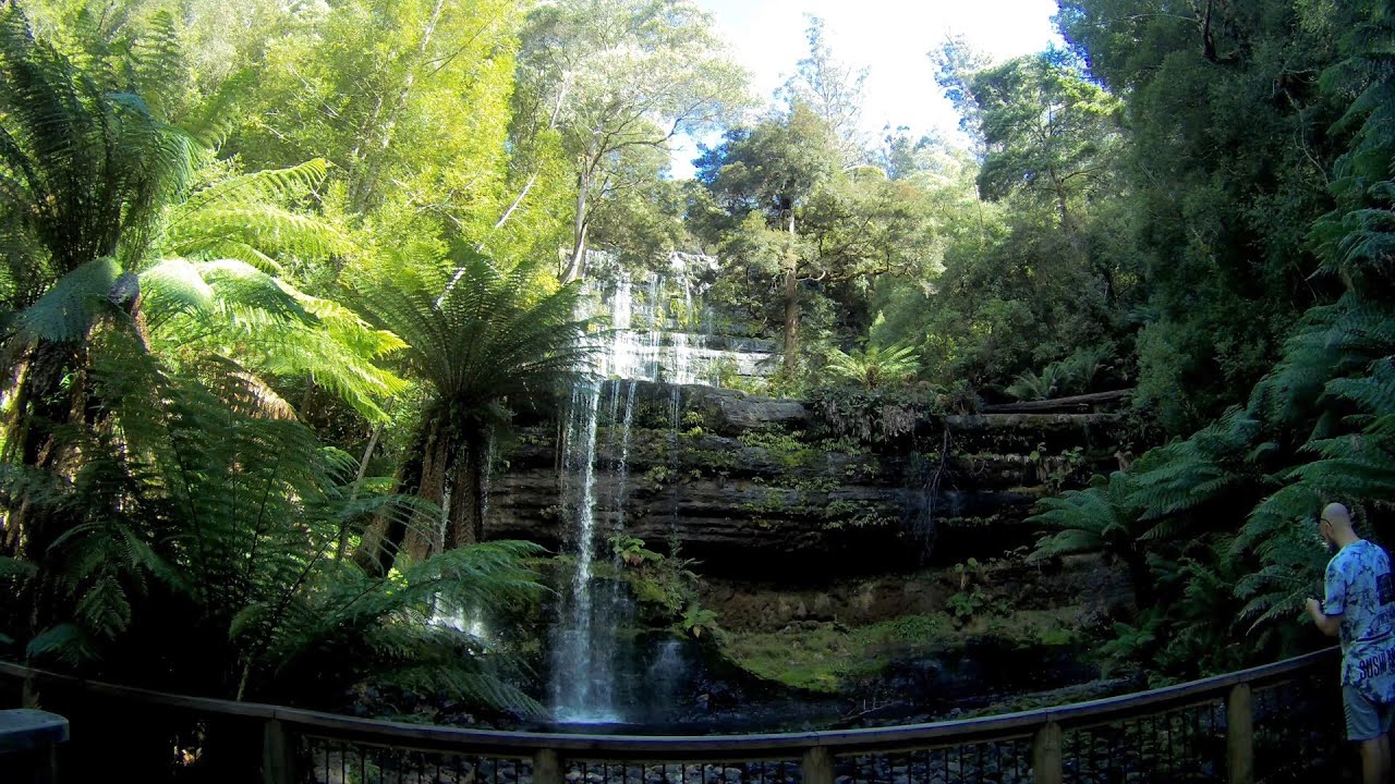Russell Falls, Mt Field National Park - YouTube