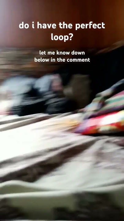 perfect loop #loop - YouTube