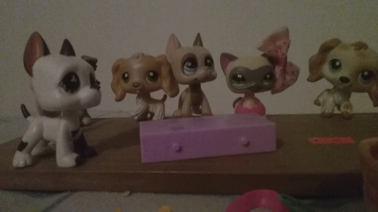 Lps tom dresses up my lps ( skit ) - YouTube