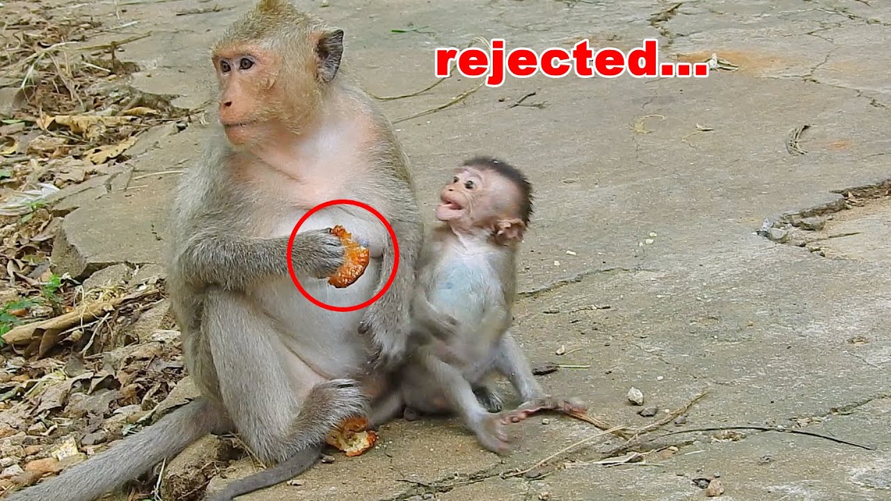 Discouraged.... baby Mila was rejected milk very sad crying shaking ...