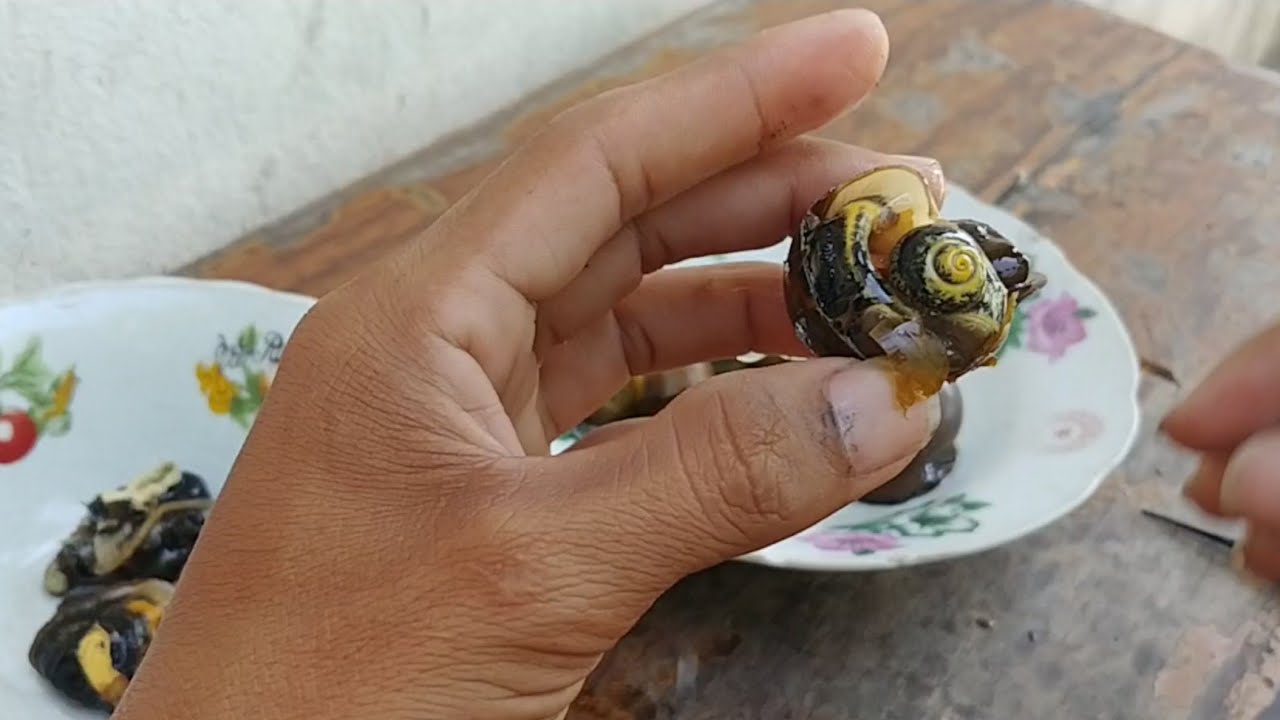 How to Clean Snails for Cooking that Easy Way - YouTube