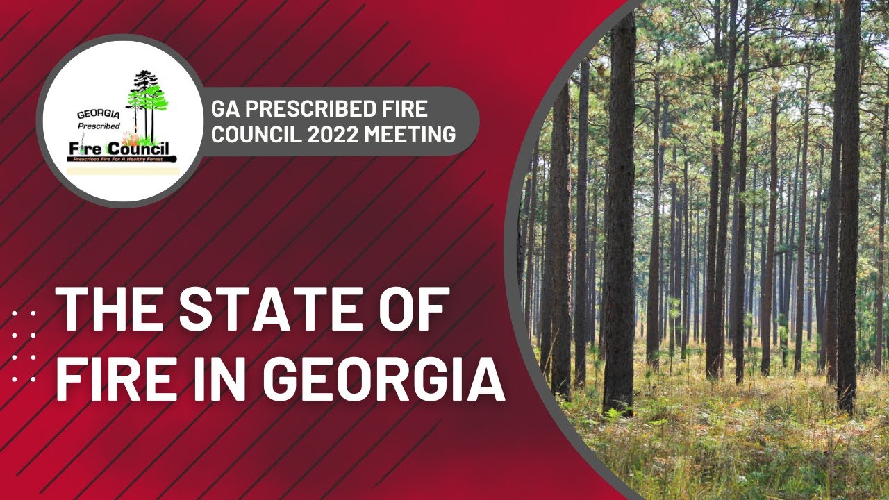 The State of Fire in Georgia 2022 - Georgia Prescribed Fire Council ...