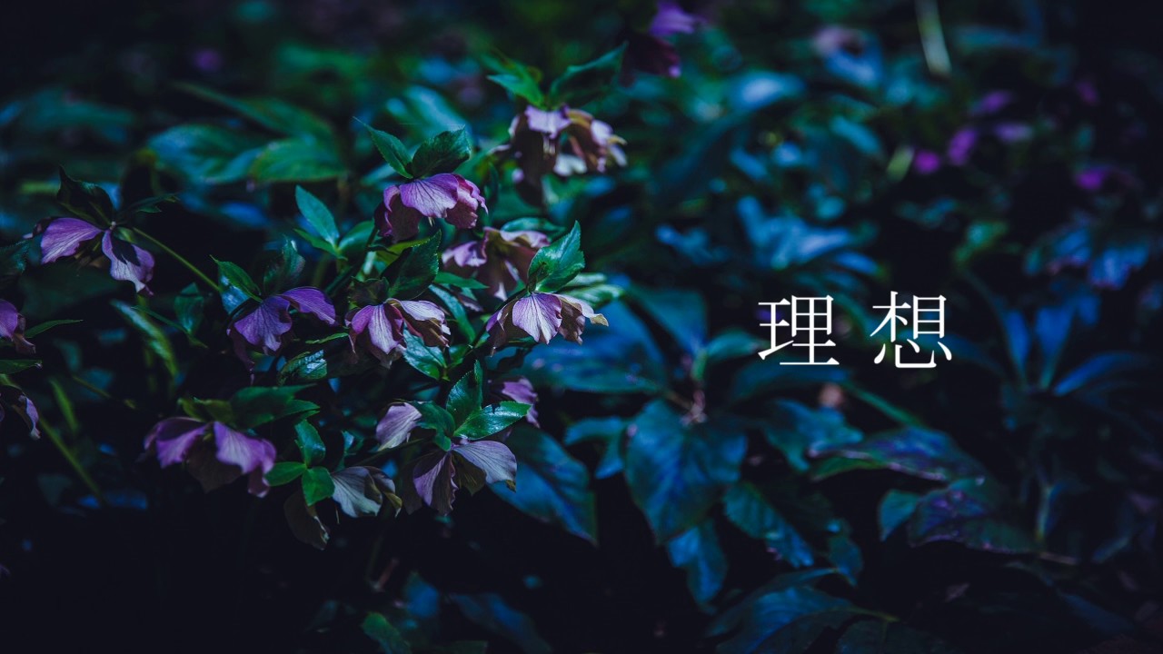 escape / Lily - YouTube