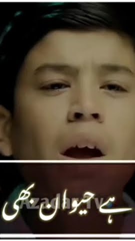 sad song 😔of falsteen - YouTube