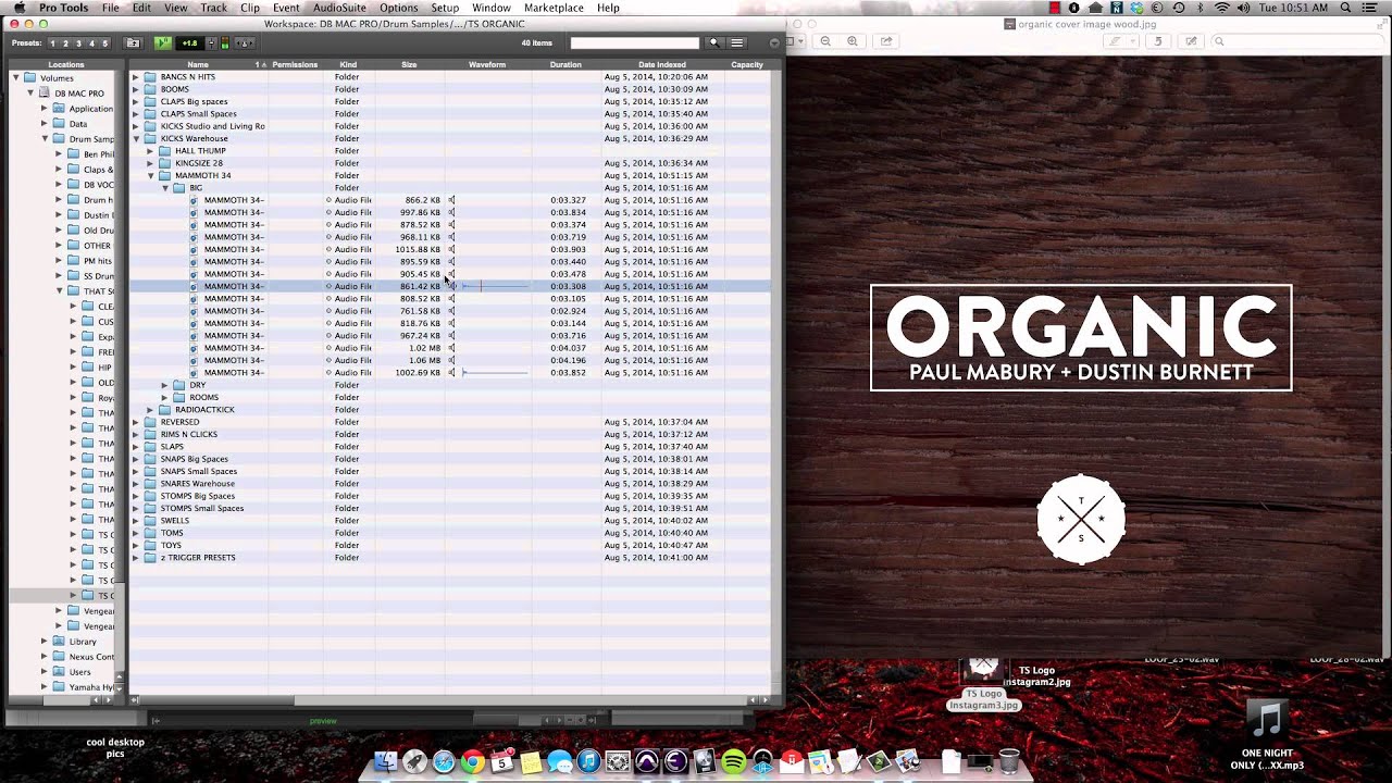 ORGANIC SAMPLES OVERVIEW - YouTube