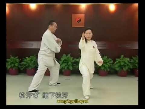 Yang Style Tai Chi 85 Forms. Master Zhao Youbin. Part 18 - YouTube