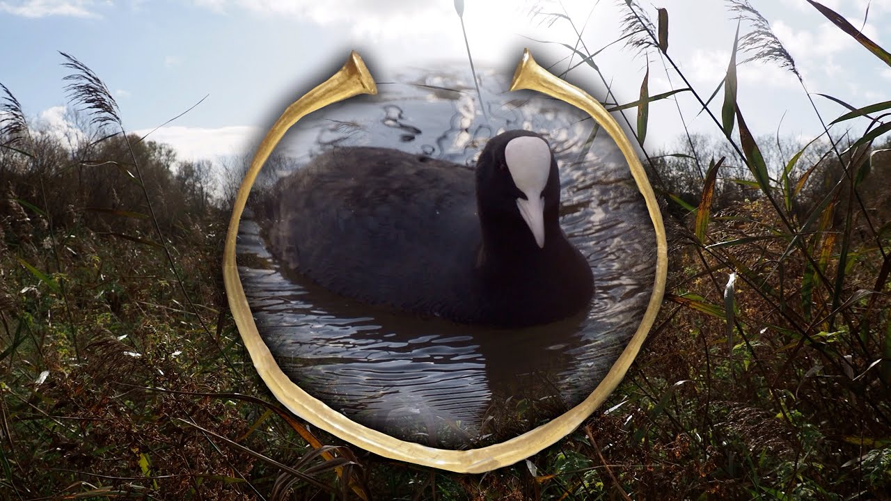 A Reply to Mr Simon Roper, Plus the Ancient Landmarks of the Saxon ...