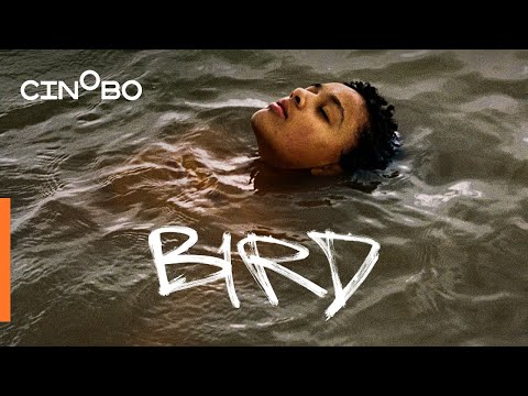 Bird | GR Subs | Cinobo