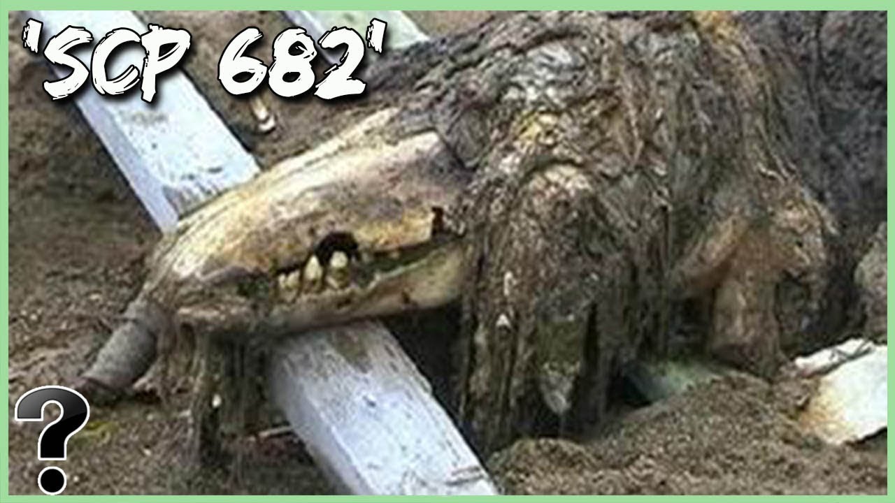 What If SCP 682 Was Real YouTube