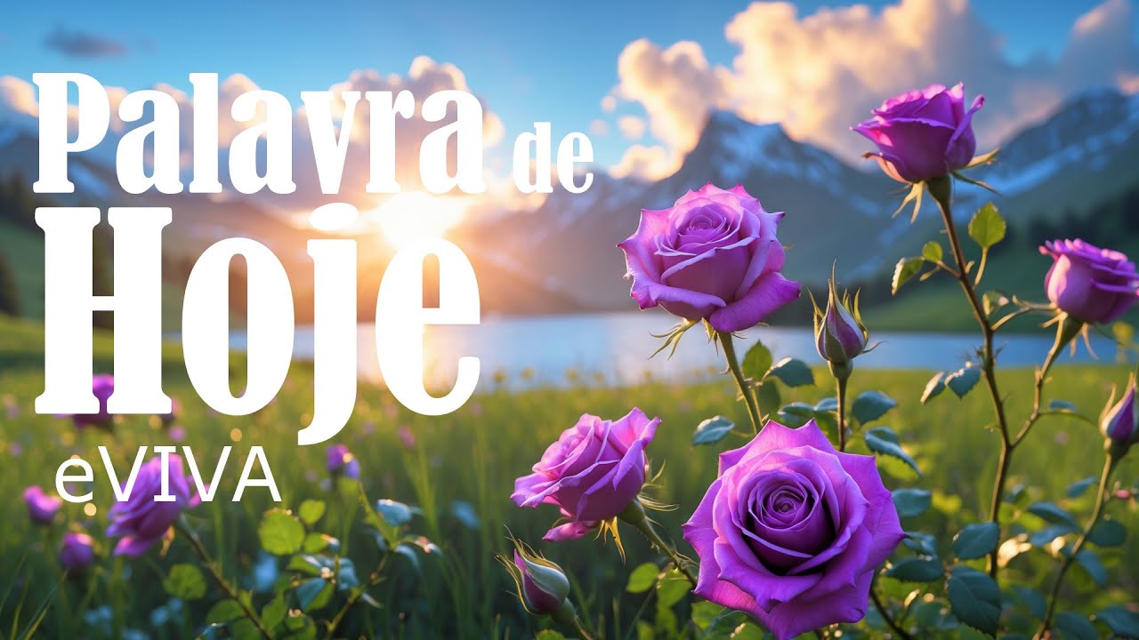 PALAVRA DO DIA 27 DE MAIO DE 2025 EVIVA MENSAGEM DE BOM DIA E ...