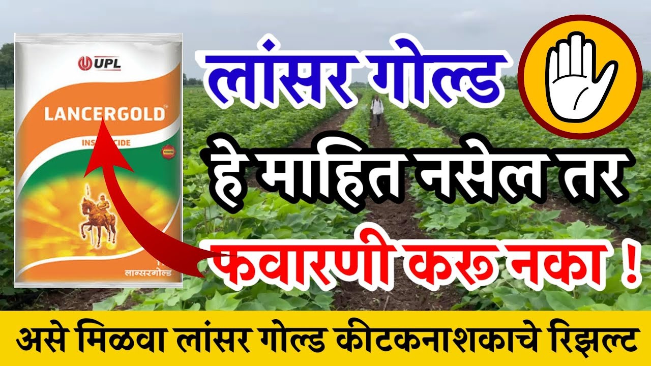 Lancer gold UPL | कापूस फवारणी साठी लान्सर गोल्ड | लान्सर गोल्ड ...