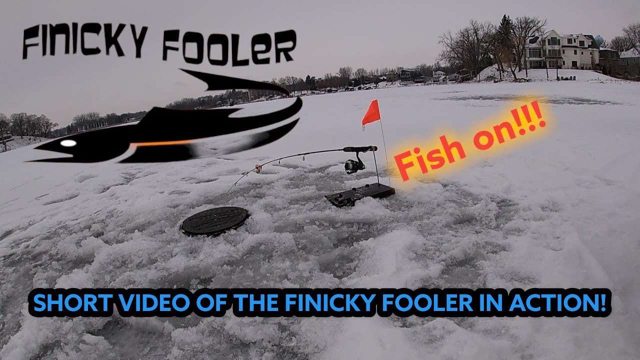 lilychocolate - Blog