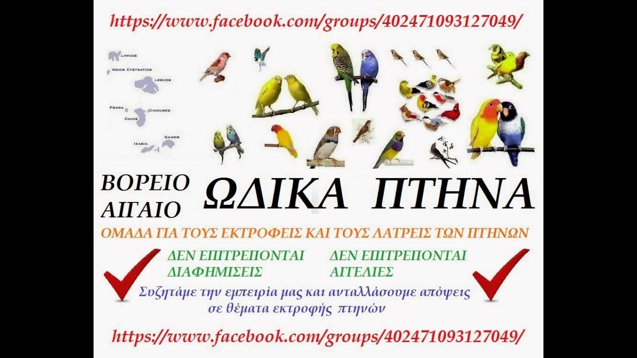 ΩΔΙΚΑ ΠΤΗΝΑ - ΒΟΡΕΙΟ ΑΙΓΑΙΟ - YouTube