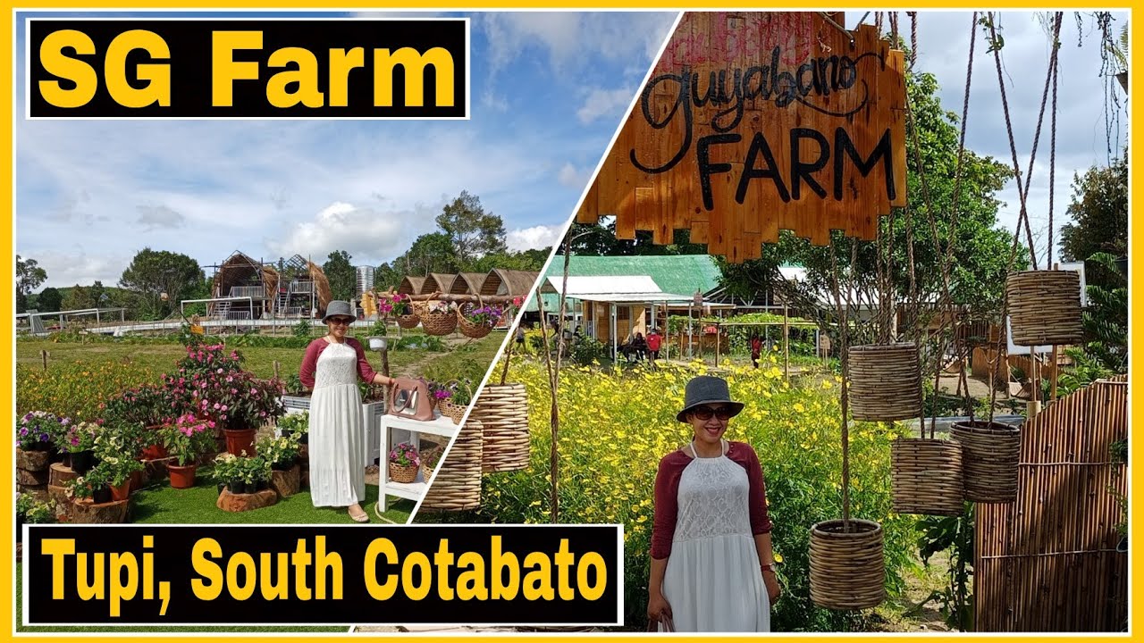 EXPLORING SG FARM in TUPI, SOUTH COTABATO - YouTube