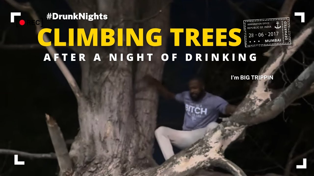 Climbing Trees after a night of drinking - YouTube