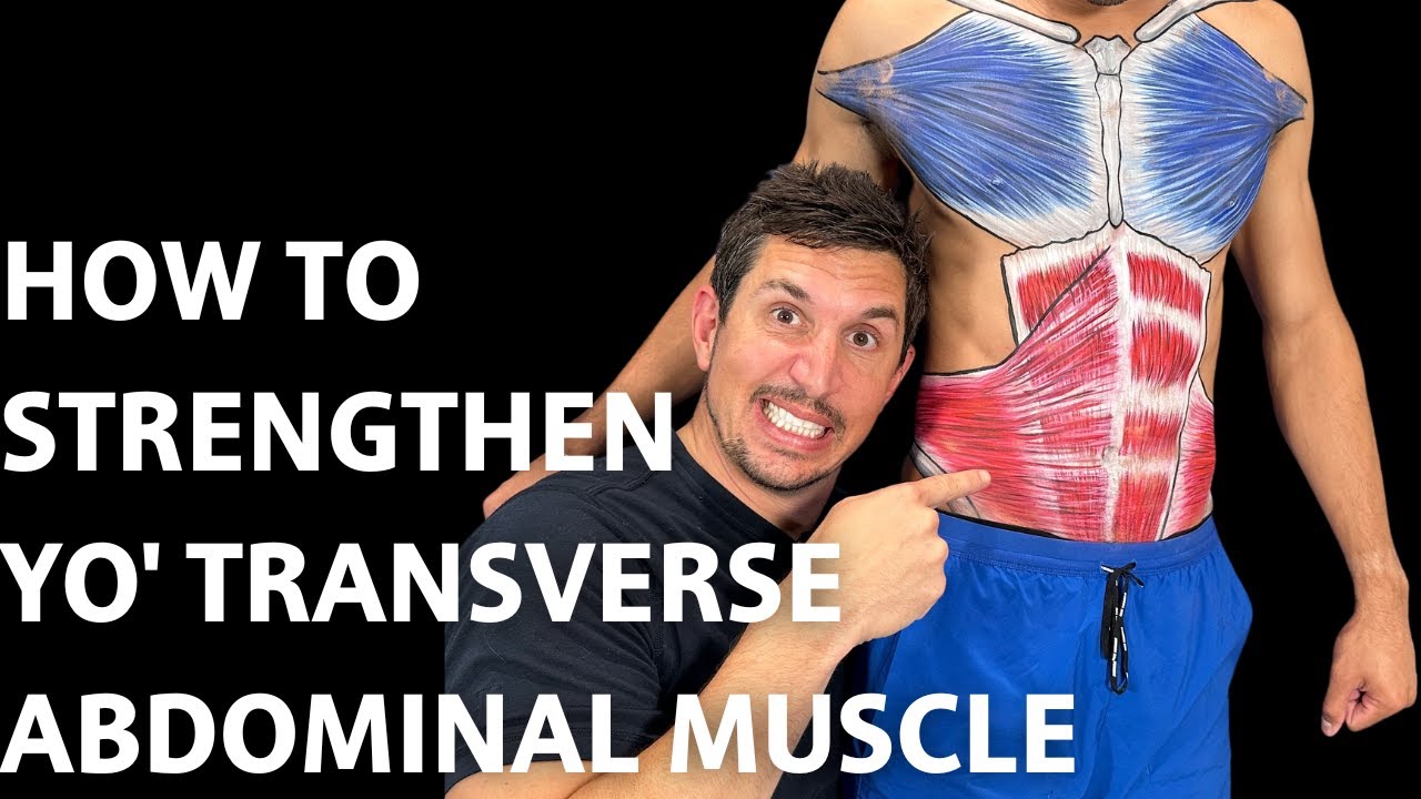 How To Strengthen Your Transverse Abdominal Muscle - YouTube