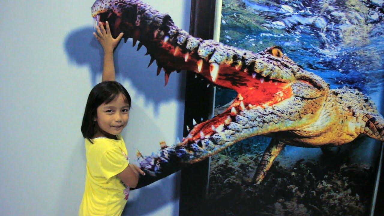 Pixel Nggak Takut Buaya!!! 3D Trick Art - YouTube