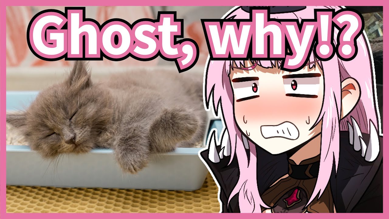 Calli Talks About Her Cat Sleeping In His Litter Box 【Hololive / Eng ...
