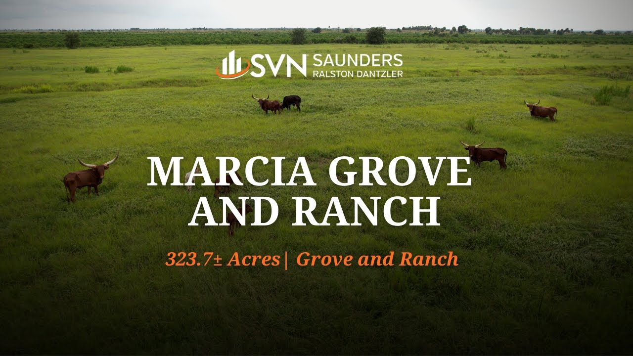 Florida Citrus Grove & Ranch For Sale | Marcia Grove and Ranch | 323.7 ...
