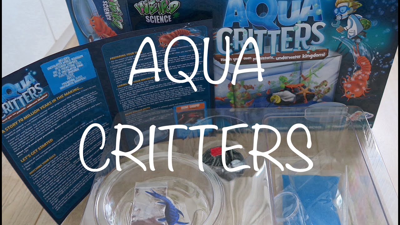 AQUA CRITTERS Unboxing And Brine Shrimp Setup! - YouTube