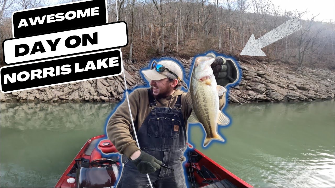 Bass fishing Norris lake middle of February! - YouTube
