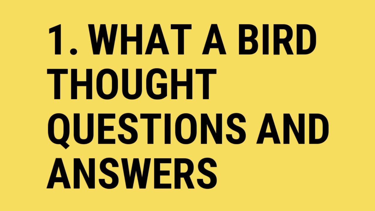 Class 5th What A Bird Thought Questions Answeres YouTube class-5th-what-a-bird-thought-questions-answeres-youtube
