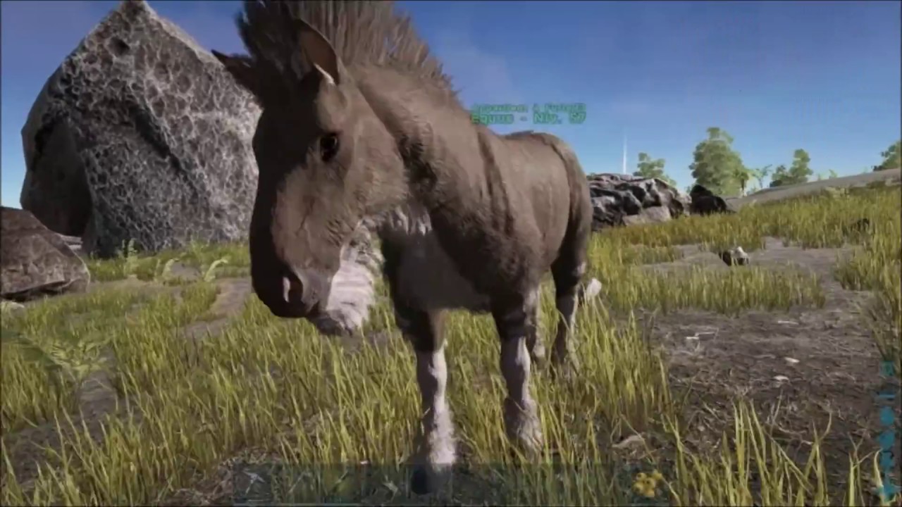 [Ark] Explication du taming de l'equus et plus de renseignement#25 ...