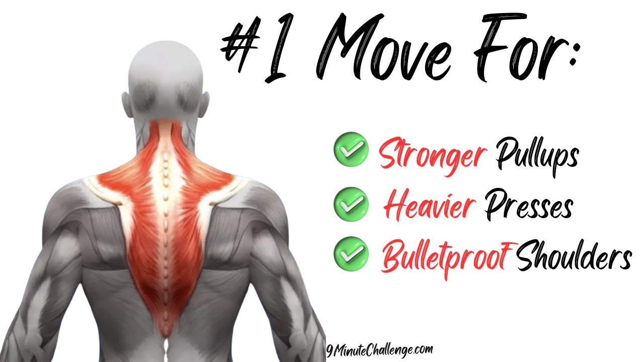 The Calisthenics Masters' SECRET for Brute Strength & Bulletproof ...