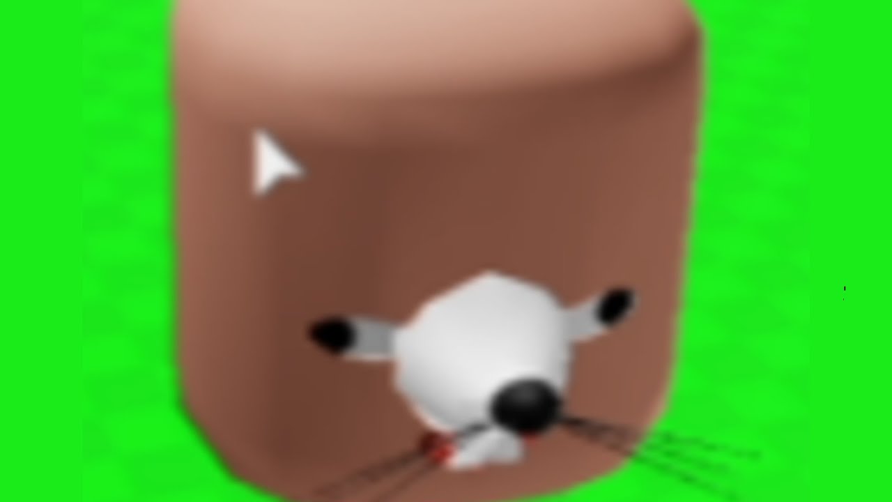 The Roblox Worm Experience.... (WormFace) - YouTube