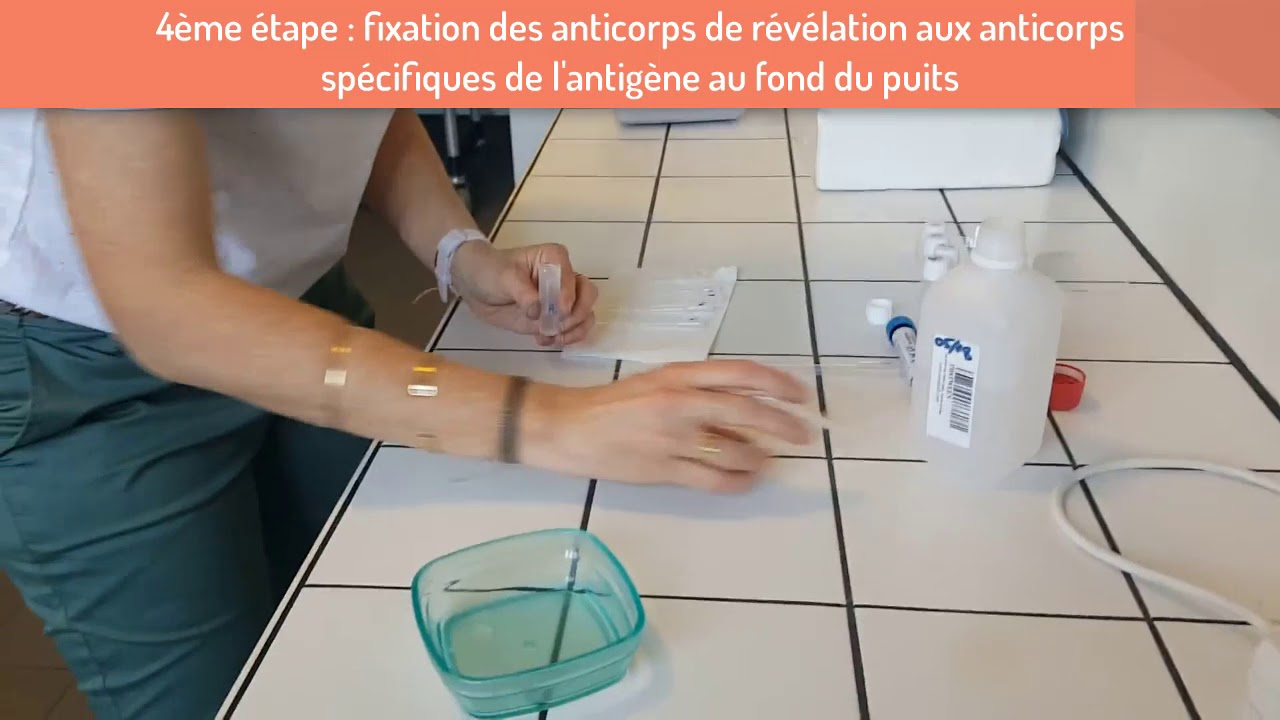 Tuto ELISA HD - YouTube