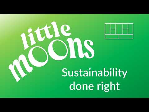 A BMC example: Little Moons - sustainability masters - YouTube