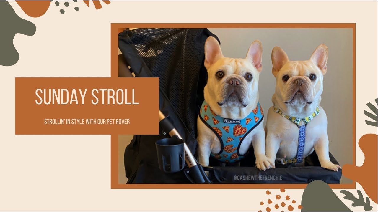 Sunday Stroll After Our Walk - YouTube