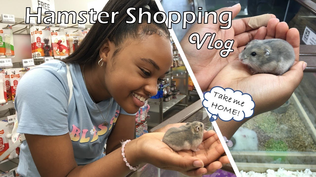 I bought a pet hamster | Getting my first pet - YouTube