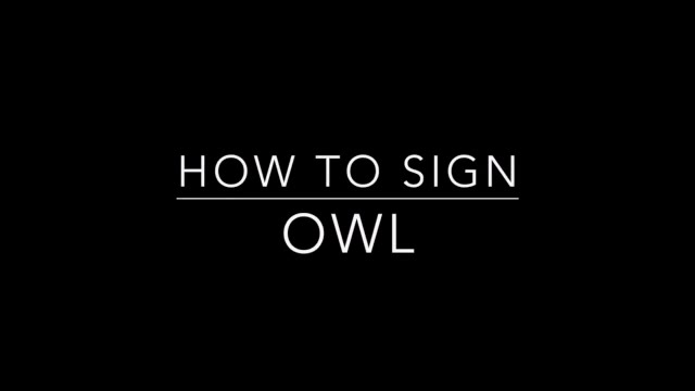 Learn How to Sign the Word Owl - YouTube