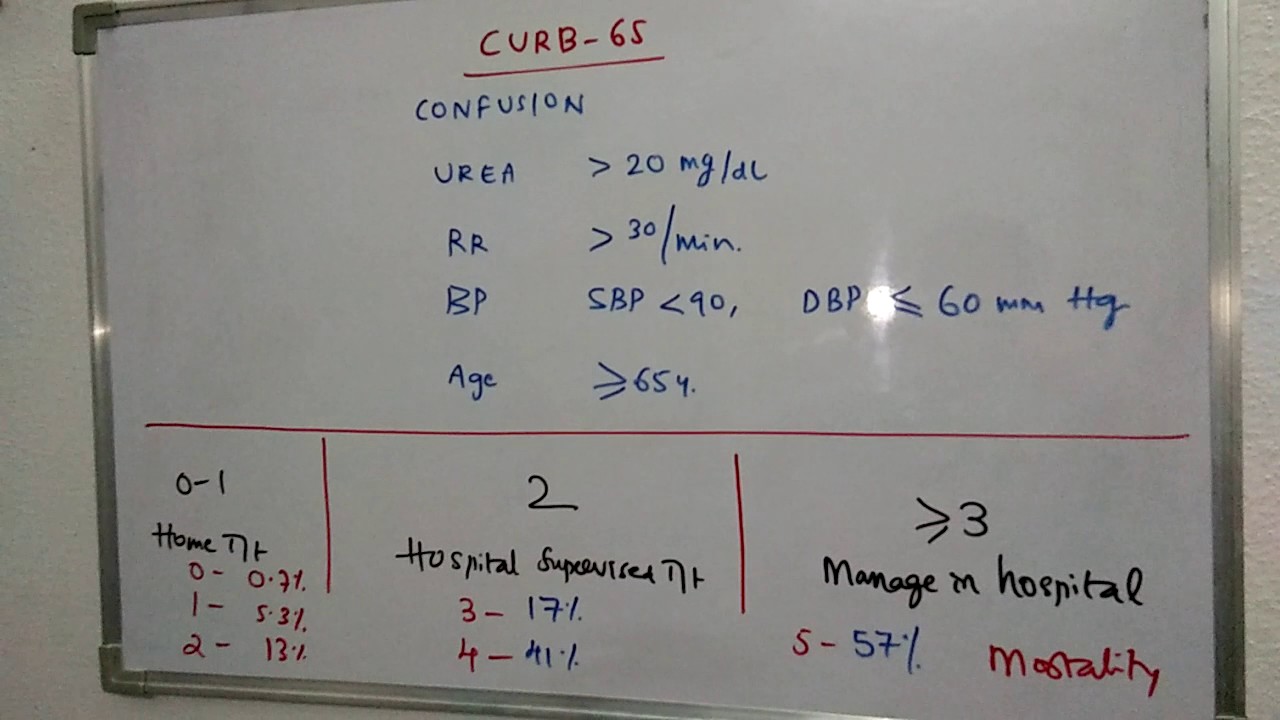 CURB 65 Score YouTube