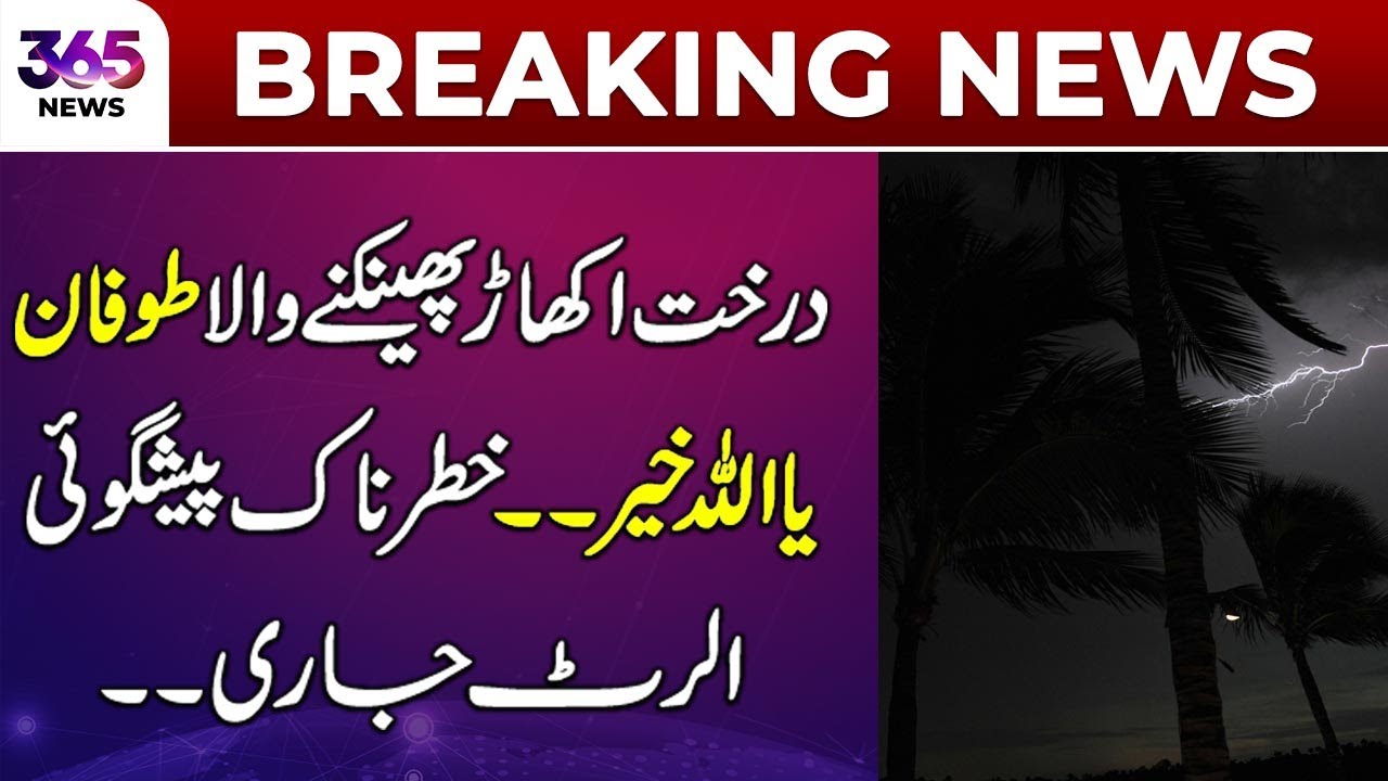 Massive Storm Incoming! Trees Falling – Emergency Alert Issued ...