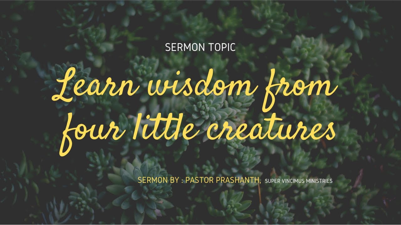 LEARN WISDOM FROM FOUR LITTLE CREATURES | TAMIL CHRISTIAN SERMON | 26TH ...