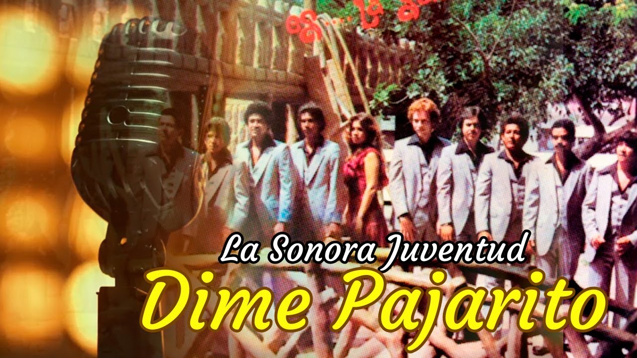 Dime Pajarito 🕊️ – La Sonora Juventud | Salsa Clásica del Recuerdo ...