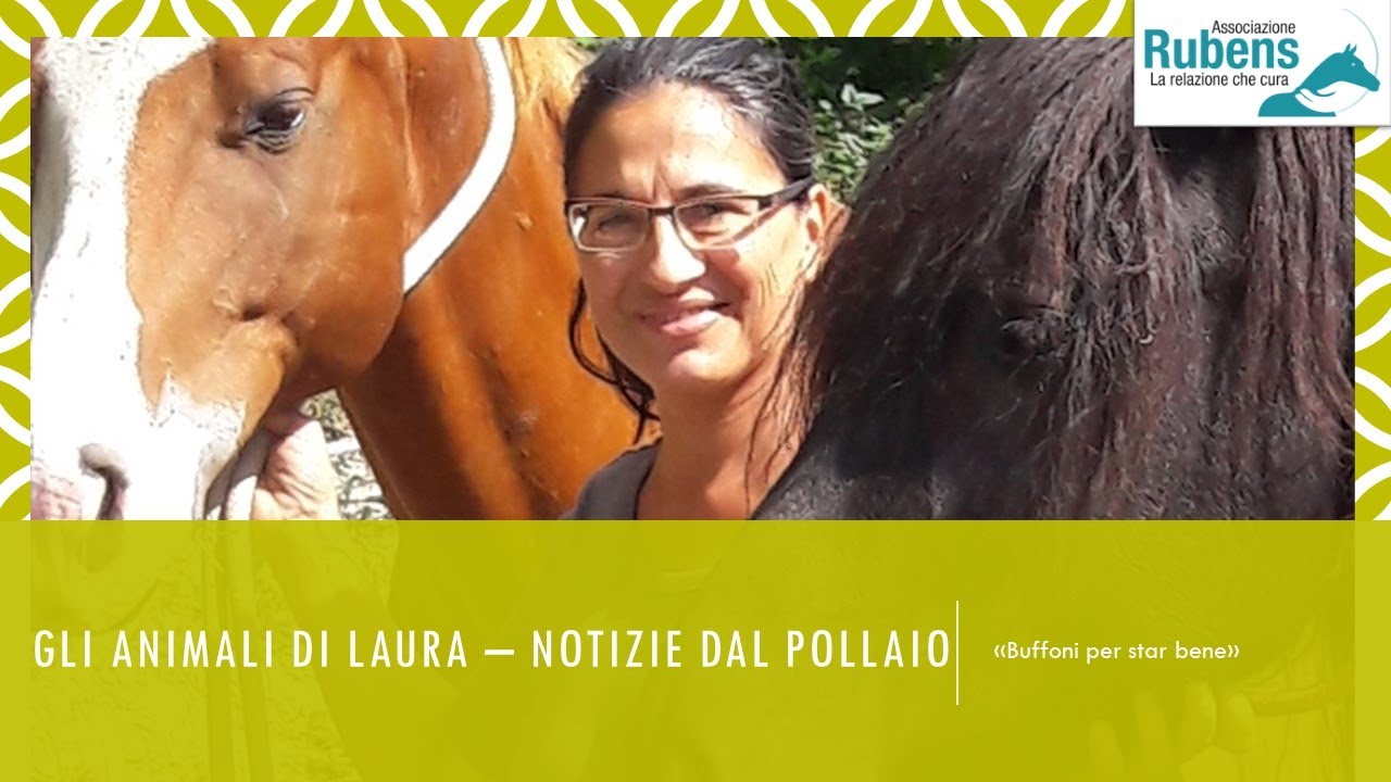 Gli animali di Laura - Notizie dal pollaio - Progetto "Buffoni per star ...