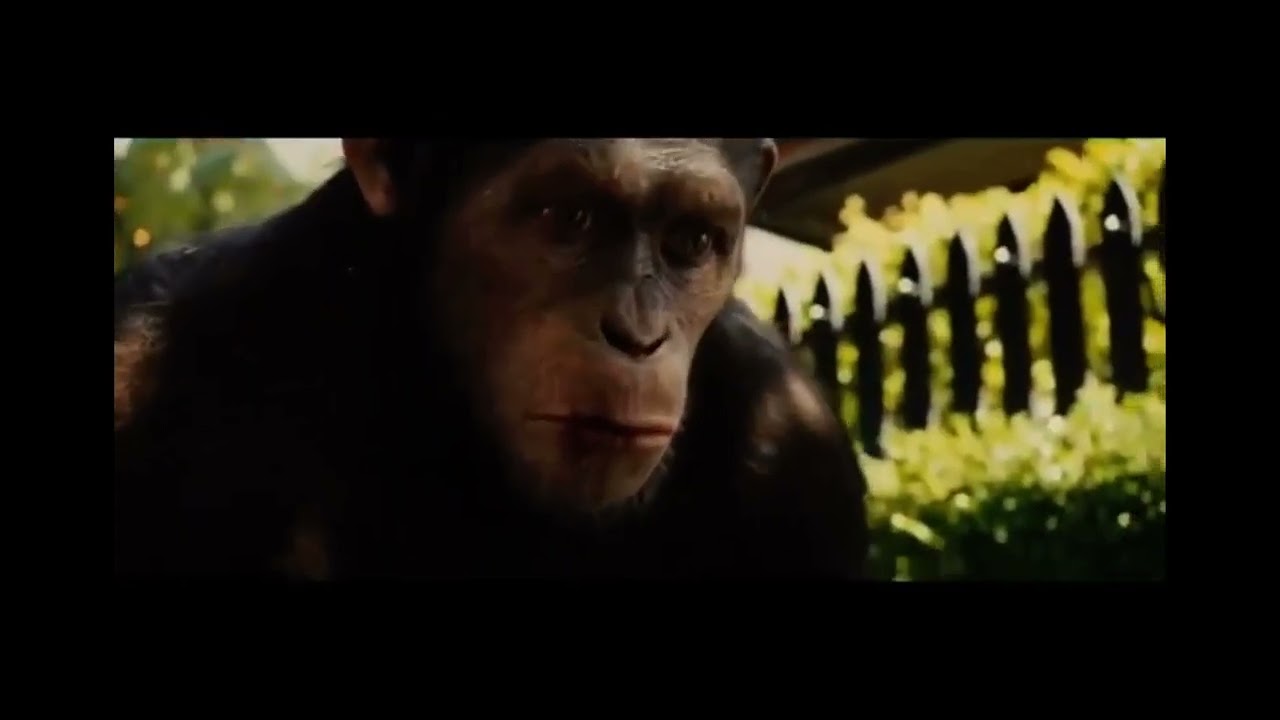 Movie trailer mash up for intro to film editing TRT-2:08 - YouTube