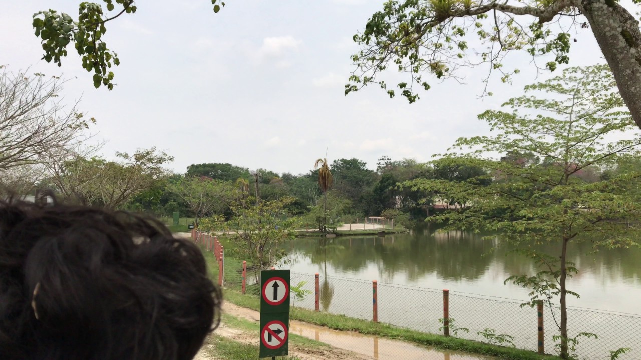 Ostriches at Hacienda Napoles Pablo Escobar farm Tour entrance - YouTube